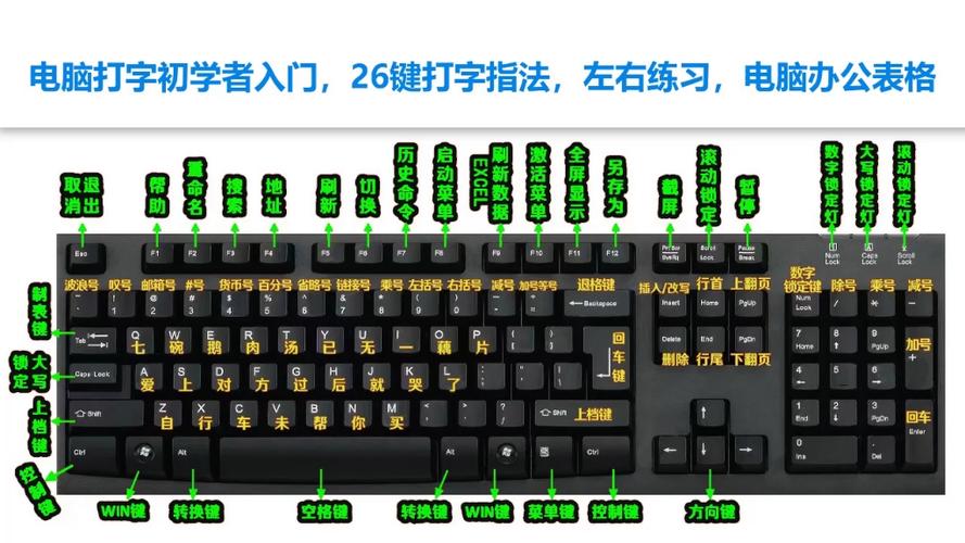 电脑零基础入门教程免费学截图