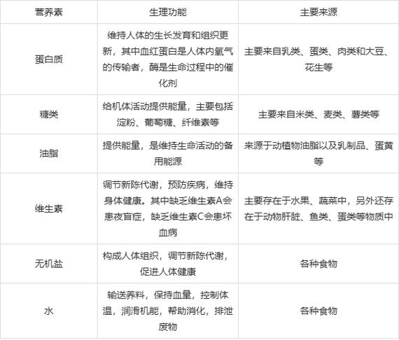初三化学必背48个元素图标