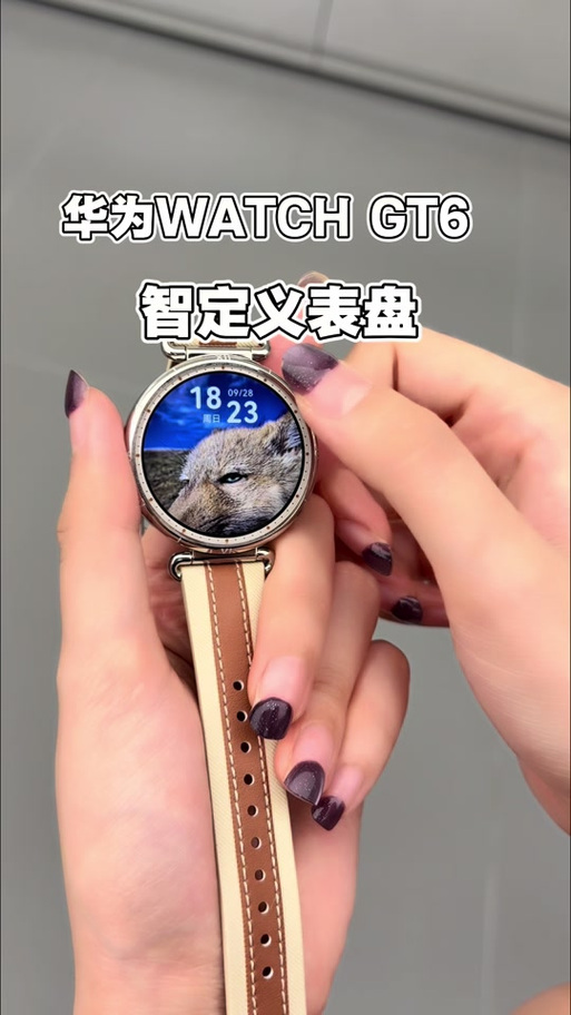 如何更换手表表盘背景图图标