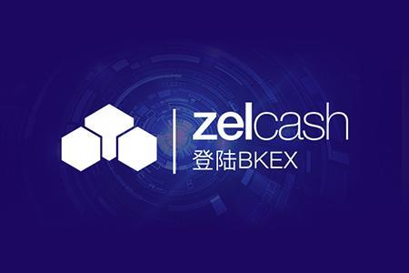 bkex交易所官网图标