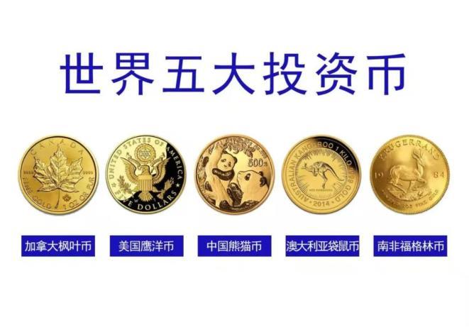 MDS币有投资价值吗截图