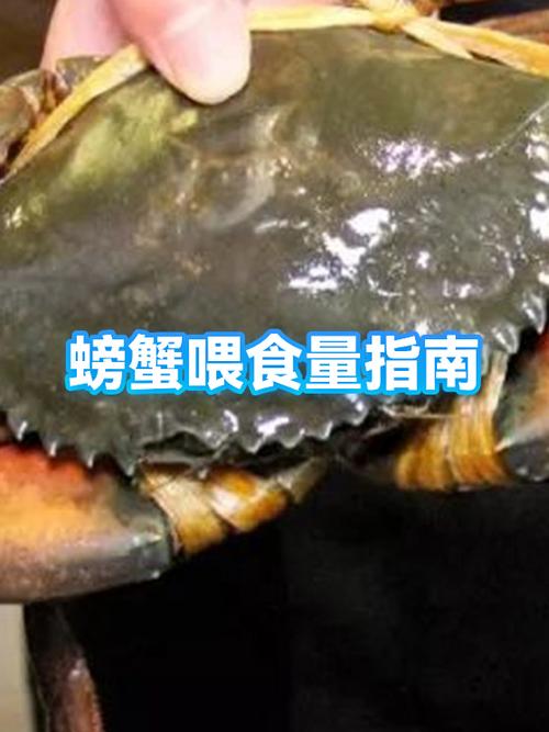 经期时可以吃螃蟹吗图标