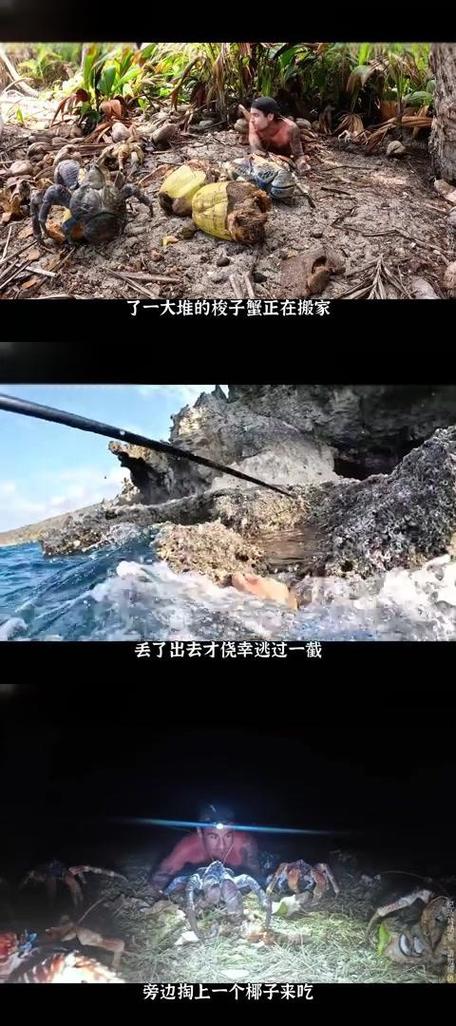 荒岛生存类游戏推荐图标