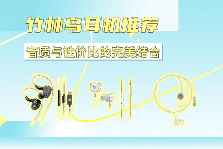 小鸟耳机排名第几图标