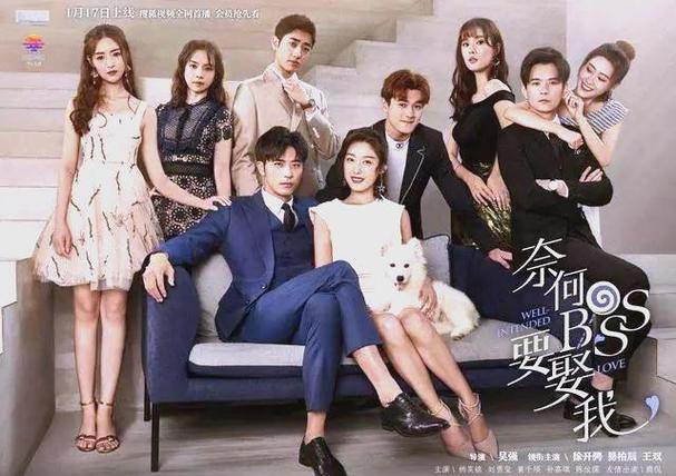 奈何boss要追我电视剧免费版图标