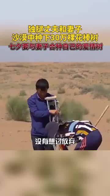 主动退出合种会返还能量吗截图