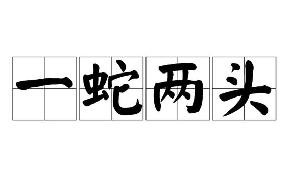 一蛇两头猜三个数字图标
