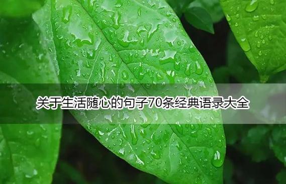 我的日常生活说说图标
