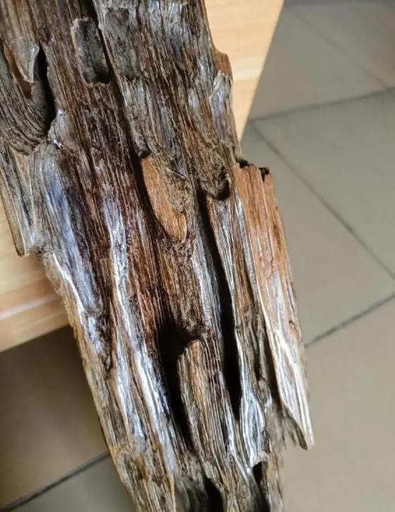 木头几年会烂截图