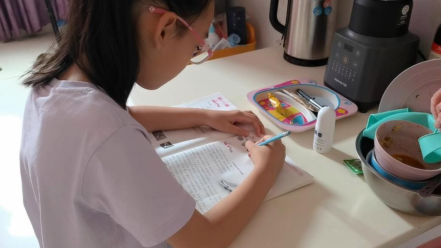 姐姐的作业图标