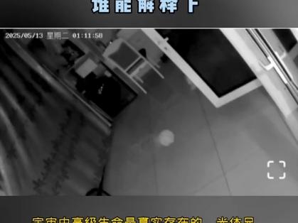 监控里看到白色的东西截图