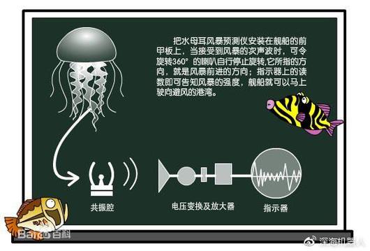 水母风暴预测仪图标