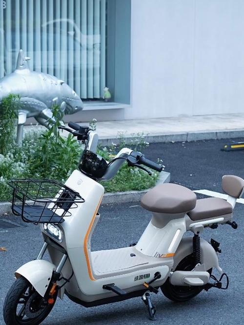绿源是哪个国家的品牌图标