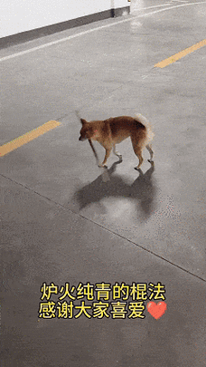 打狗棒法gif图标