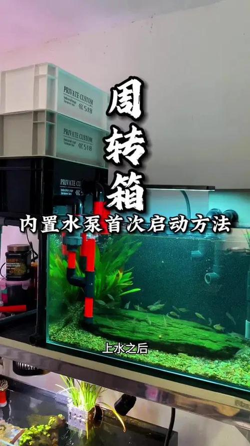 鱼缸水循环不上水截图