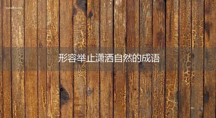 潇洒自然的成语截图
