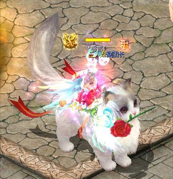 魔域灵虎和灵猫哪个好截图