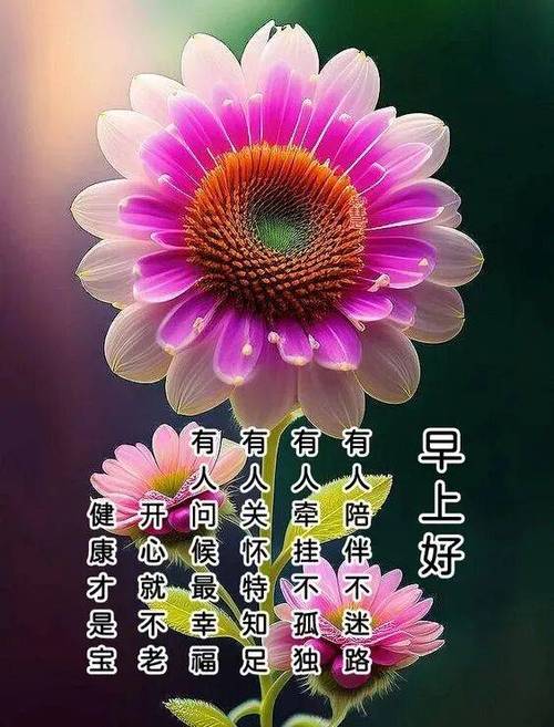 10秒钟早安短视频图标