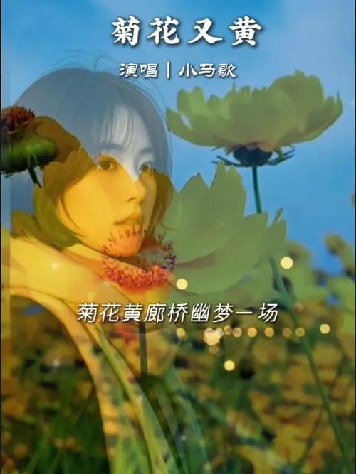 小马哥最好听的十首歌曲图标