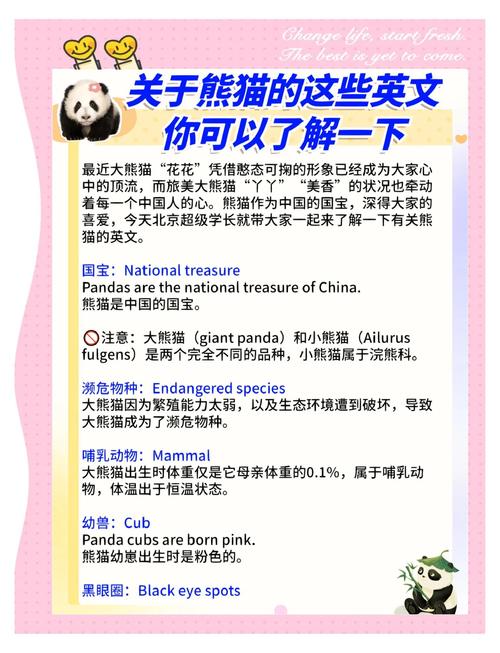 四川熊猫基地英语图标