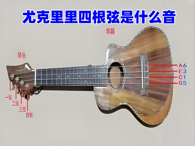 旋律还是弦律图标