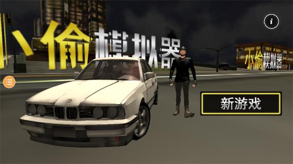小偷模拟器201车库图标