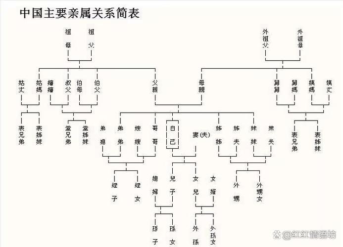 家里亲戚的称呼大全图标
