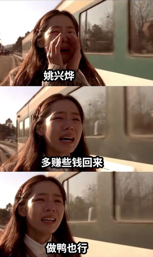 做鸭一天能赚多少钱图标