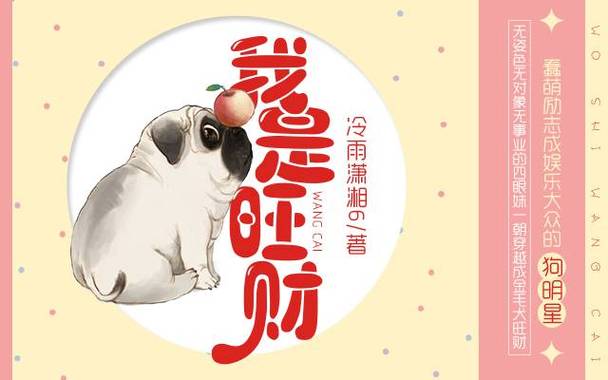 我是旺财截图