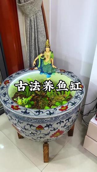 鱼缸换水的正确方法截图