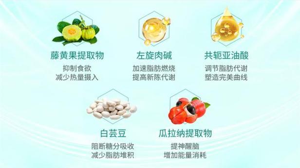 轻脂蜜语图标