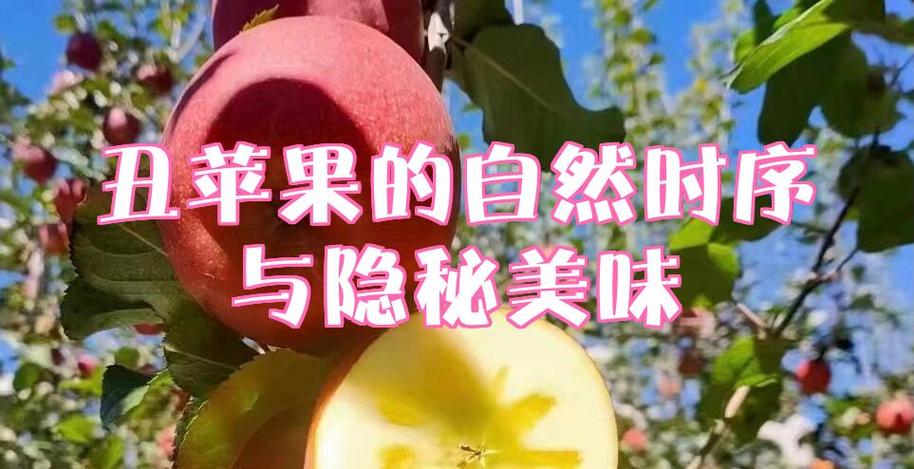 苹果隐藏app图标