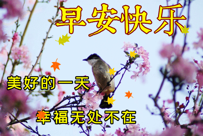 今日头条祝福图片图标