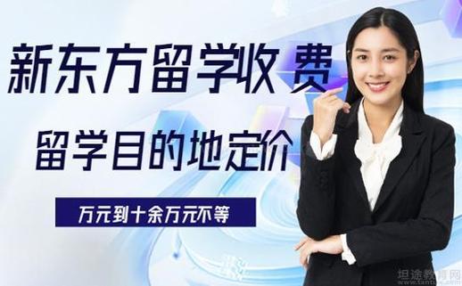 新东方游学费用明细图标