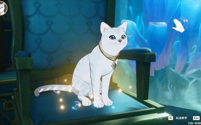 原神可捕捉的猫