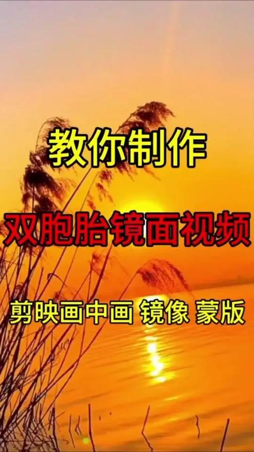 视频怎么弄成镜像截图