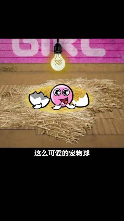 养只宠物球手机版游戏截图