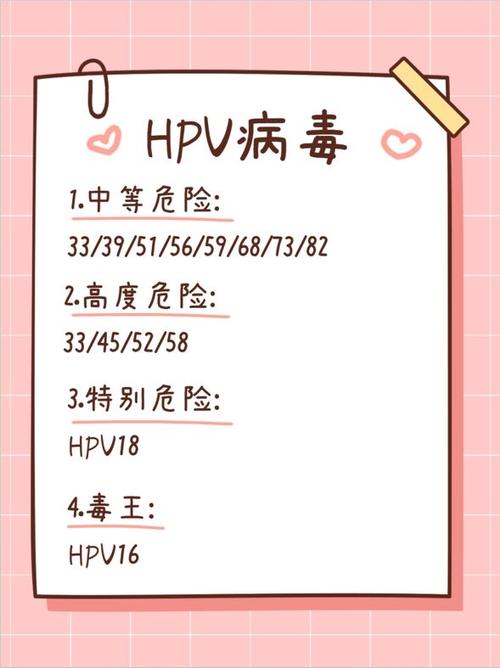 病毒排行榜前十名图标