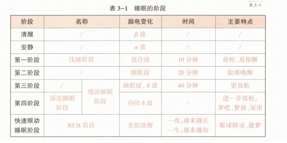 睡眠分为哪四个阶段图标