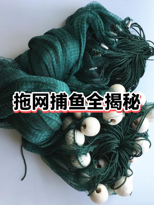 捕鱼还是捕渔图标