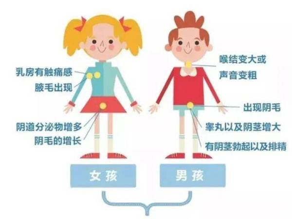 稚子指男孩还是女孩图标