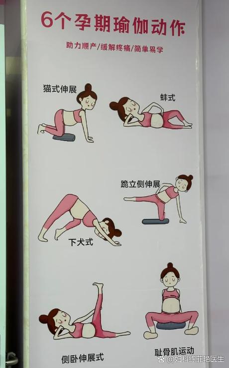 怀孕期间力量训练动作截图
