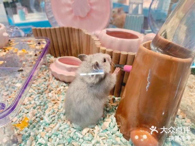 小仓鼠贷款app下载图标