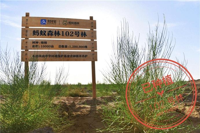 蚂蚁森林公司图标