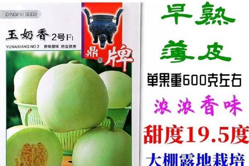 甜瓜42.0无限金币(菜单)