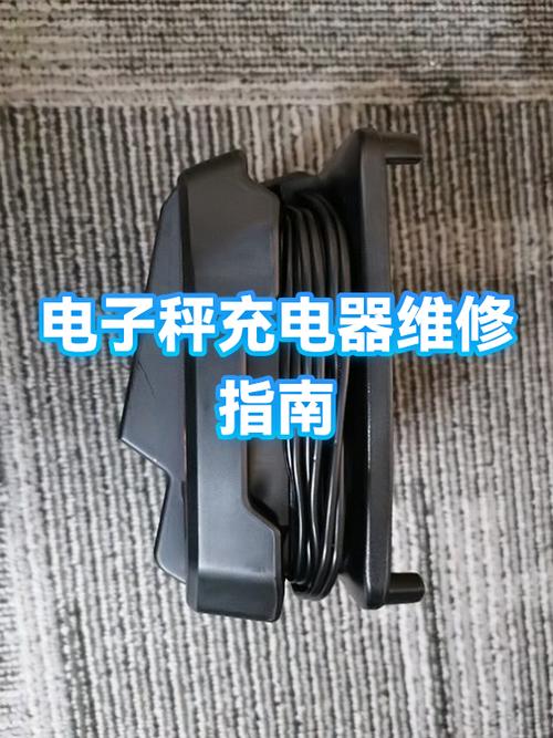 手机充电器可以给电子秤充电吗图标