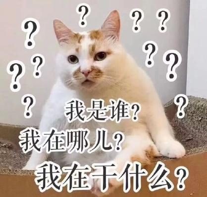 我是谁表情包图标