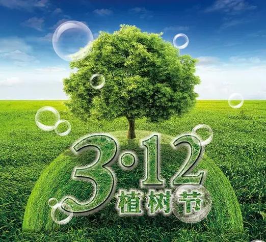 植林种树的好处图标