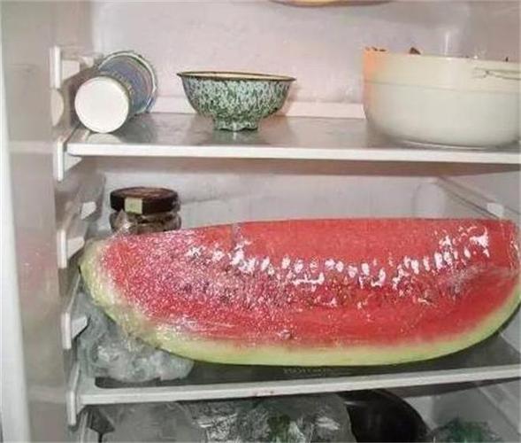 西瓜味冰箱世界日常截图