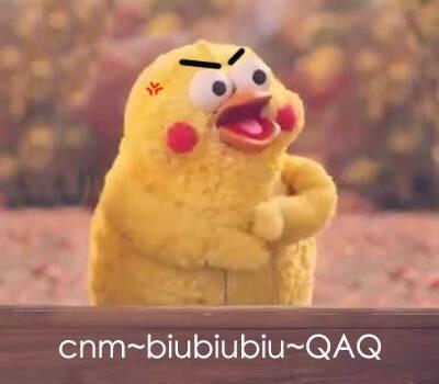 红脸蛋的小鸡表情包图标